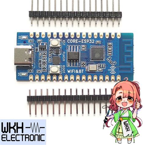 Jual Esp32 C3 Classic Micropython Esp32c3 Wifi Bluetooth Core Development Board Shopee Indonesia