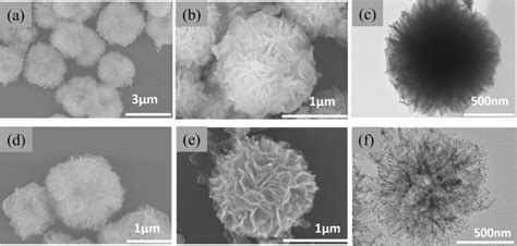 A D SEM Images Of ZnO At Different Magnification SEM Image Of B Download Scientific Diagram