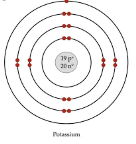 When Making A Bohr Model The First Shell Can Only Hold 2 Electrons The Second Shell Can Only