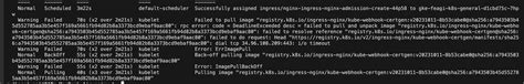 Errimagepull On Kube Webhook Certgen · Issue 10638 · Kubernetes