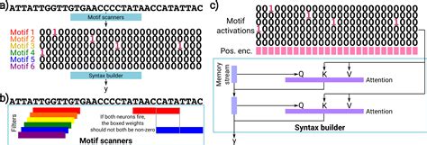 Explainable Convolutional Neural Network Model Provides An Alternative