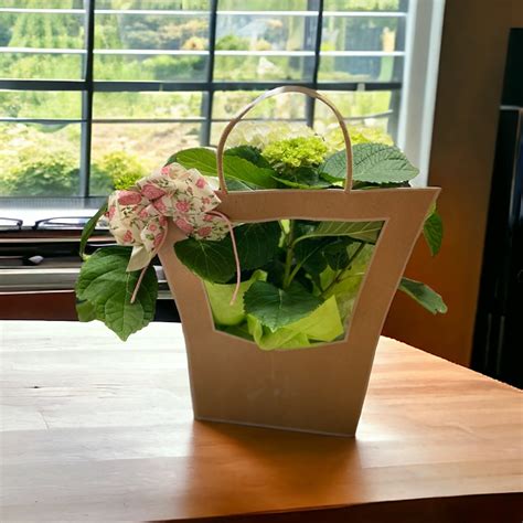 Hydrangea Plant Buy Online Or Call 01452 332203