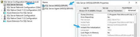 Common Sql Server Consulting Advice Setting Instant File Initialization Darling Data