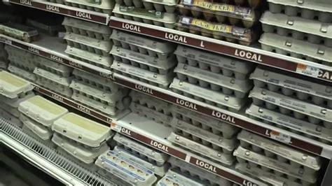 When Will Egg Prices Go Down To Help Solve Its Egg Price Crisis As