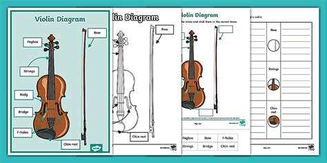 👉 Violin Diagram Pack Teacher Made Twinkl