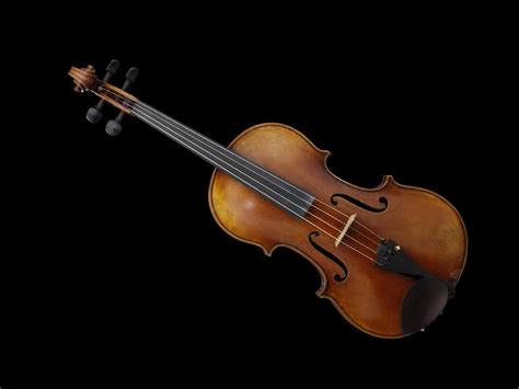 Viola