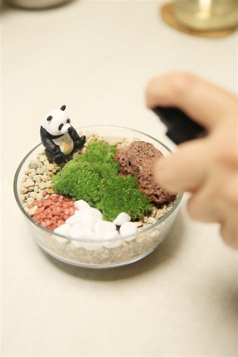 테라리움 이끼 만들기 키트 나만의 작은 숲 네이버 블로그