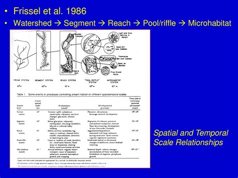 Bankfull Discharge Qbkf An Important Concept Ppt Download