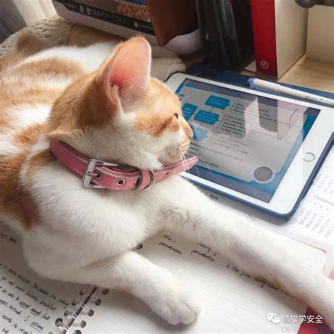 Linux系统时间老是不准怎么办 CN SEC 中文网