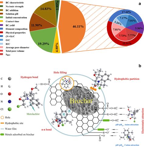 A The Contribution Of Each Indicator To The Adsorption Capacity And B Download Scientific