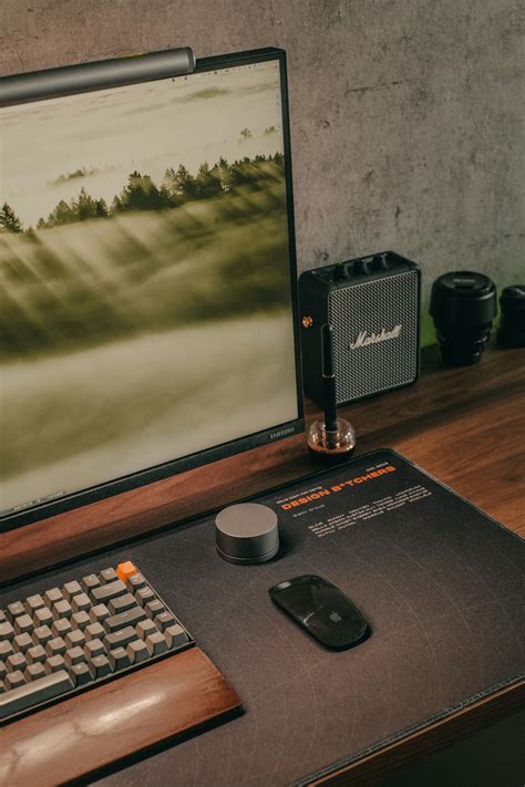 คลังภาพถ่ายฟรีของ การตกแต่งภายใน กิ้งก่ามอนิเตอร์ ความคิดสร้างสรรค์ คอมพิวเตอร์ คอมพิวเตอร์