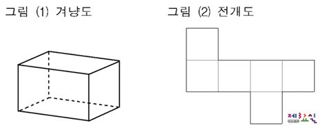 초등 수학 5학년 1학기 2단원 [직육면체] 교과팁 출처 수학전문 제3교실 네이버 블로그