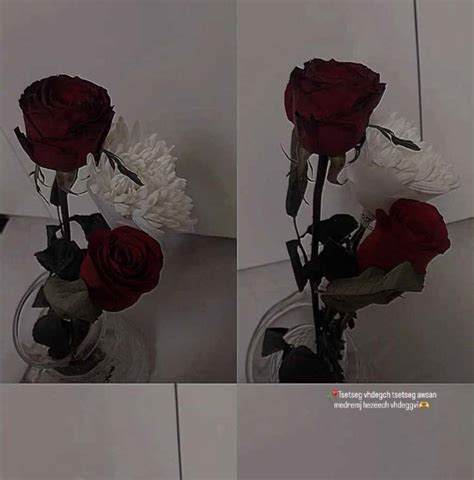 Хайрын гайхалтай түүхүүд