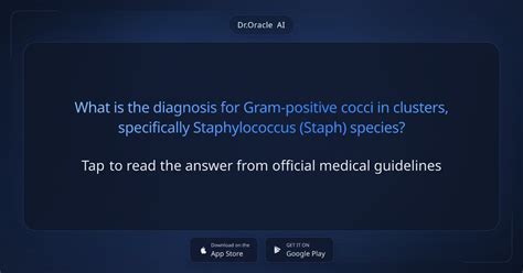 What Is The Diagnosis For Gram Positive Cocci In Clusters Specifically Staphylococcus Staph