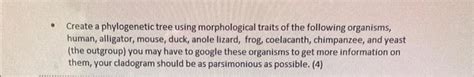 Solved Create A Phylogenetic Tree Using Morphological Traits