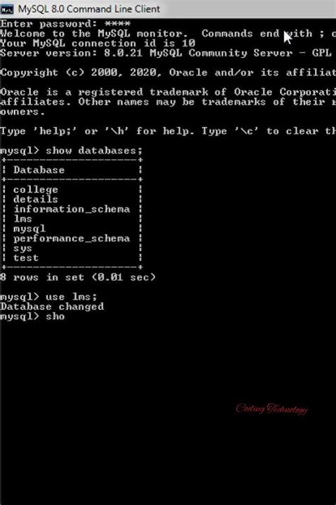 show databases and tables in mysql mysql shorts youtube