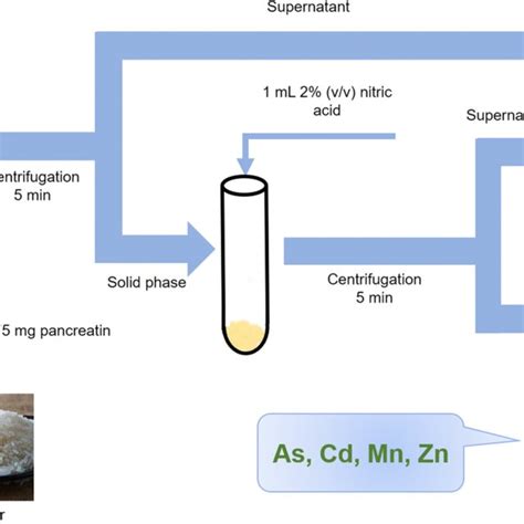Diagram Of The Sample Preparation Method Developed In This Study