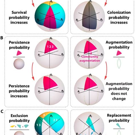 Geometric Intuition On The Translatability Of Analogous Outcomes Download Scientific Diagram