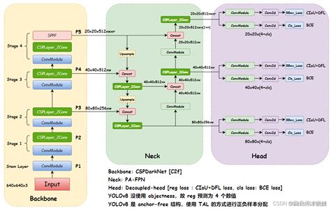 yolov8原理和实现全解析 csdn博客