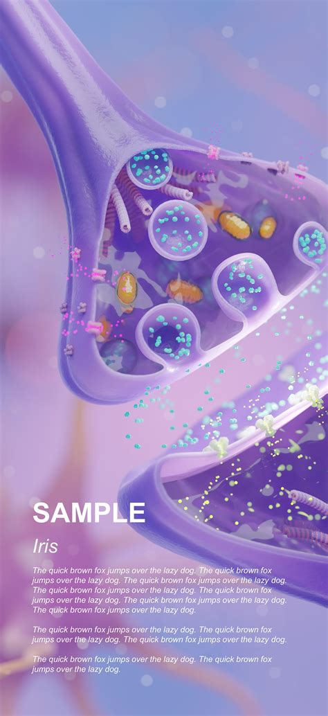 Synapse On Behance
