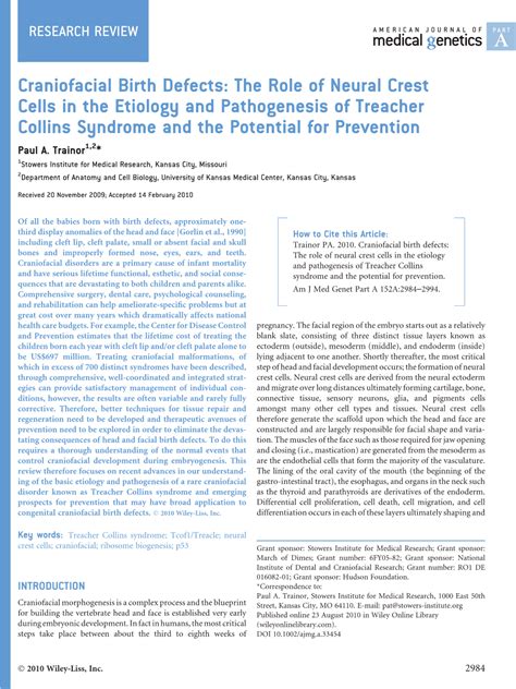 Craniofacial Birth Defects The Role Of Neural Crest Cells In The Etiology And Pathogenesis Of