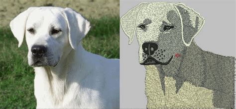 Wilcom Embroidery Digitizing In Nagpur ID 13699235533