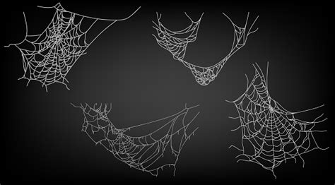 검은 배경에 고립 거미줄의 컬렉션 거미줄 요소 공포 할로윈 장식 벡터 절연 거미에 대한 스톡 벡터 아트 및 기타 이미지 거미