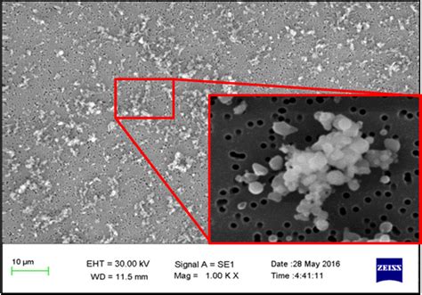 Particle Morphology Of Raw Coal Download Scientific Diagram