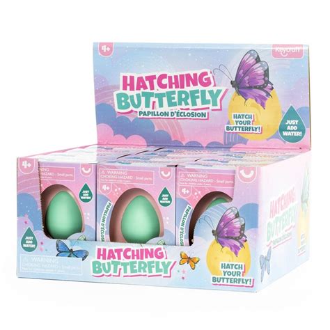 Butterfly Hatching Kit