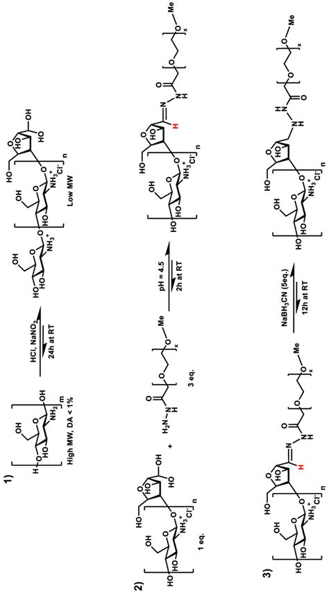 3 1 Strategy For The Synthesis Of A Cos B Peg Copolymer 1 Synthesis Download Scientific