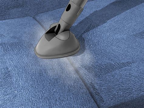Divine Tips About How To Kill Bed Bugs With Heat Waterask