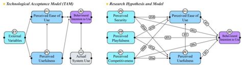 The Structure Of Tam And Adjusted Model Download Scientific Diagram