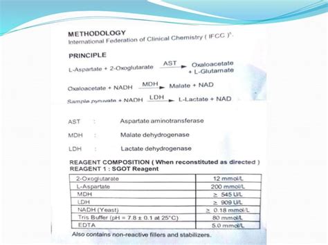 Liver Function Test Pptx
