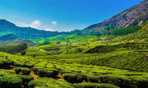 Best 10 Place To Visit In Kerala