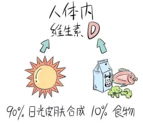 做试管婴儿 需要查血清25 羟基维生素D吗 澎湃号湃客 澎湃新闻 The Paper