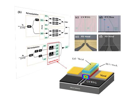 Modified Photodiode Enables Multifunctional High Performance Pics Technology News Jan 2024