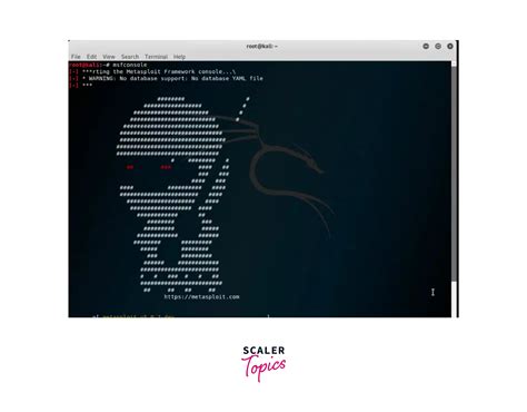 Top Kali Linux Tools For 2023 Scaler Topics