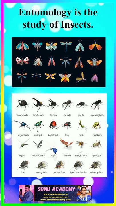 Subscribe Youtubeshorts Shortsfeed Viral Shortsvideo Viralvideo