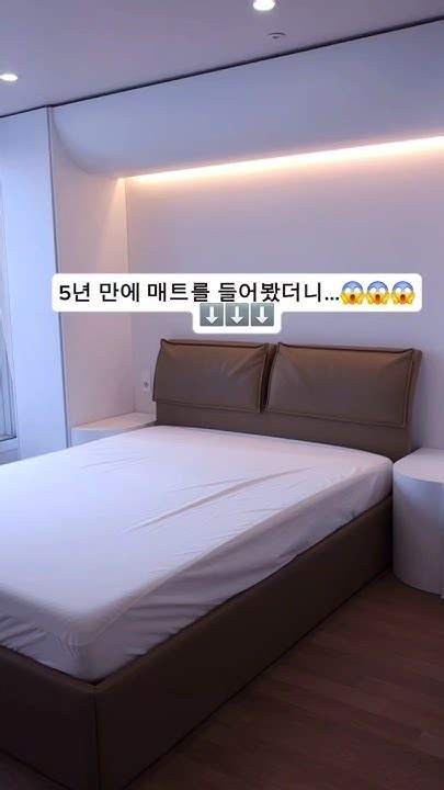 공기청정기만 돌릴게 아니네😱 우리집 침대밑이 이럴 줄이야 봄맞이 대청소 Youtube