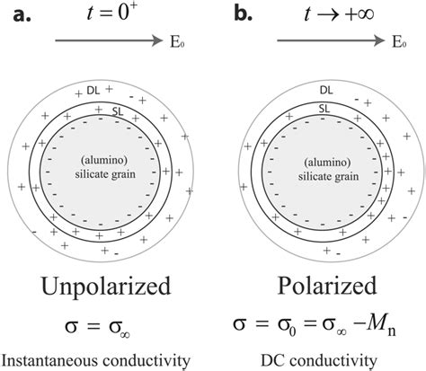 Polarization Of The Electrical Double Layer Under The Influence Of An