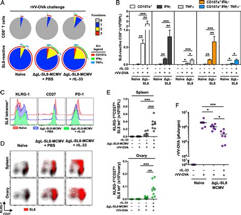 Figure 1 From Il 33 Augments Virus Specific Memory T Cell Inflation And