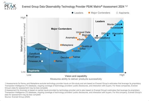 Data Observability Technology Provider Peak Matrix® Assessment Everest Group