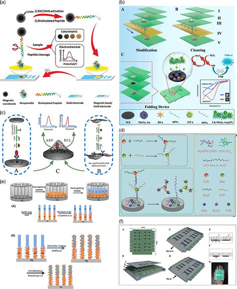 A Scheme Of The Peptidemagnetic Bead Biosensor For Staphylococcus Download Scientific