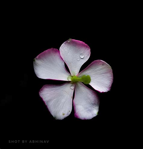 Abhinav Tiwari On Linkedin Hows This