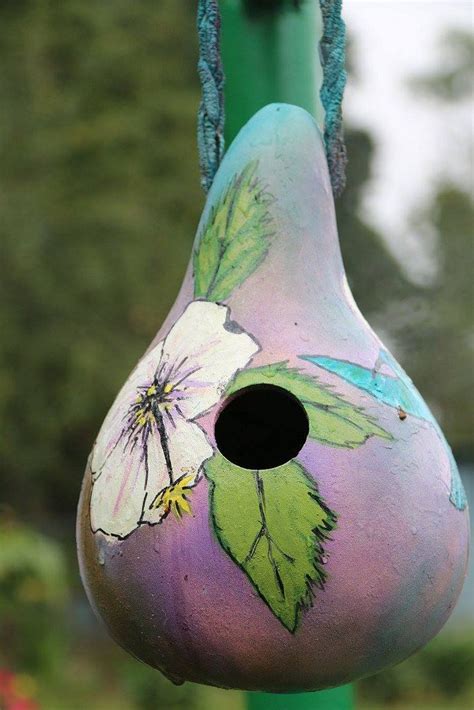 21 Gourds Birdhouse Bird House Gourd Art