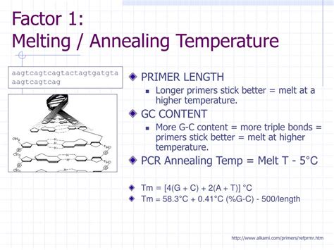 How To Find Primer Annealing Temperature At Samantha Brabyn Blog