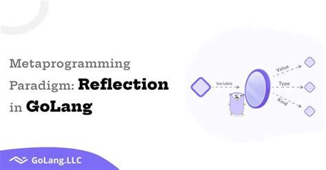 golang llc on linkedin metaprogramming paradigm reflection in golang