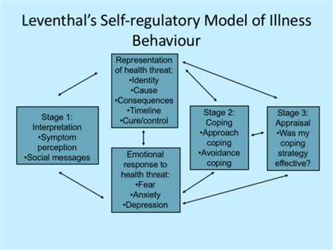 10 Health Beliefs And Behaviour Flashcards Quizlet