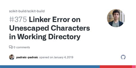 Linker Error On Unescaped Characters In Working Directory · Issue 375