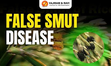 What Is Disinflation